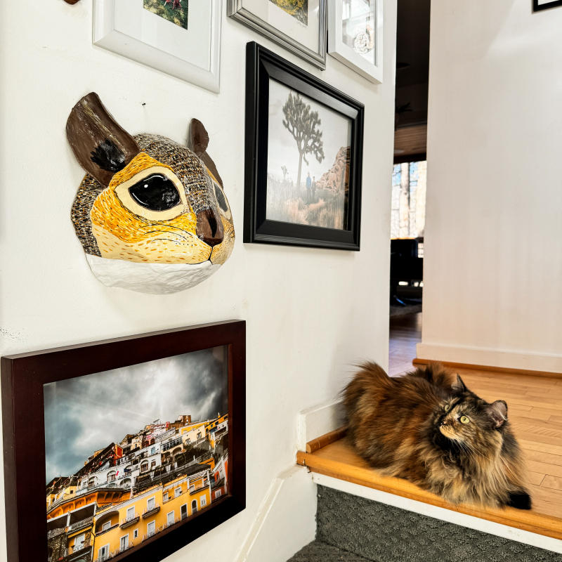 Nibbles - Squirrel Paper Mache Wall Sculpture - Paper Mache - Familiar ...